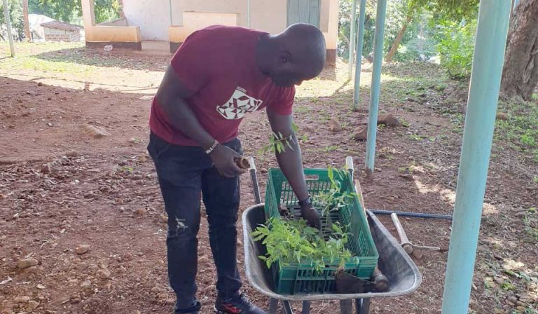 40-year-old FinnSonic participates in afforestation in Africa - FinnSonic